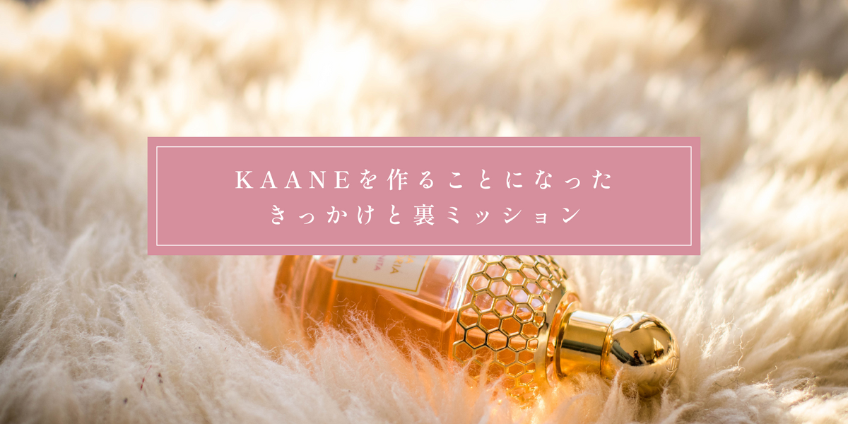 KAANEを作ることになったきっかけと裏ミッション
